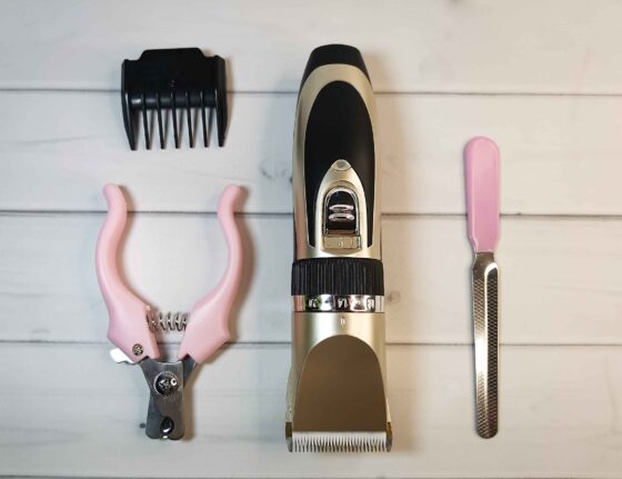Ultimate guideline | How to Use a Horse Grooming Kit: Expert Tips - Brofa